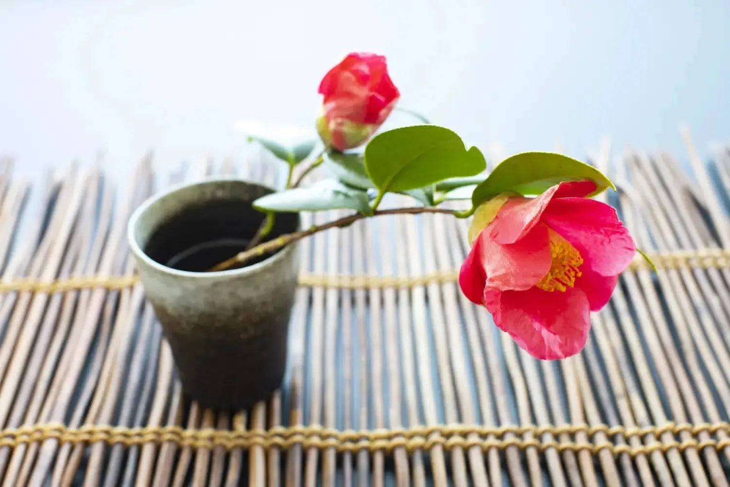 Buy Authentic Japanese Products Online – Page 187