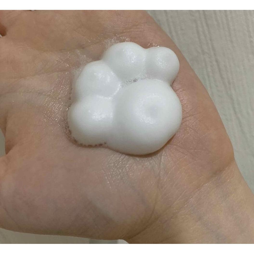 Bioré Paw Pad Shaped Foaming Hand Wash Citrus Scent 240ml