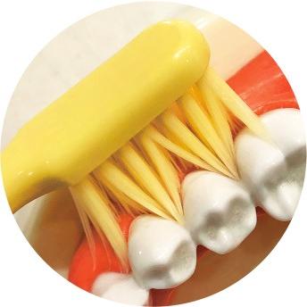 Life Range Narrow Head Toothbrush Ultra Fine High Density Medium Brist